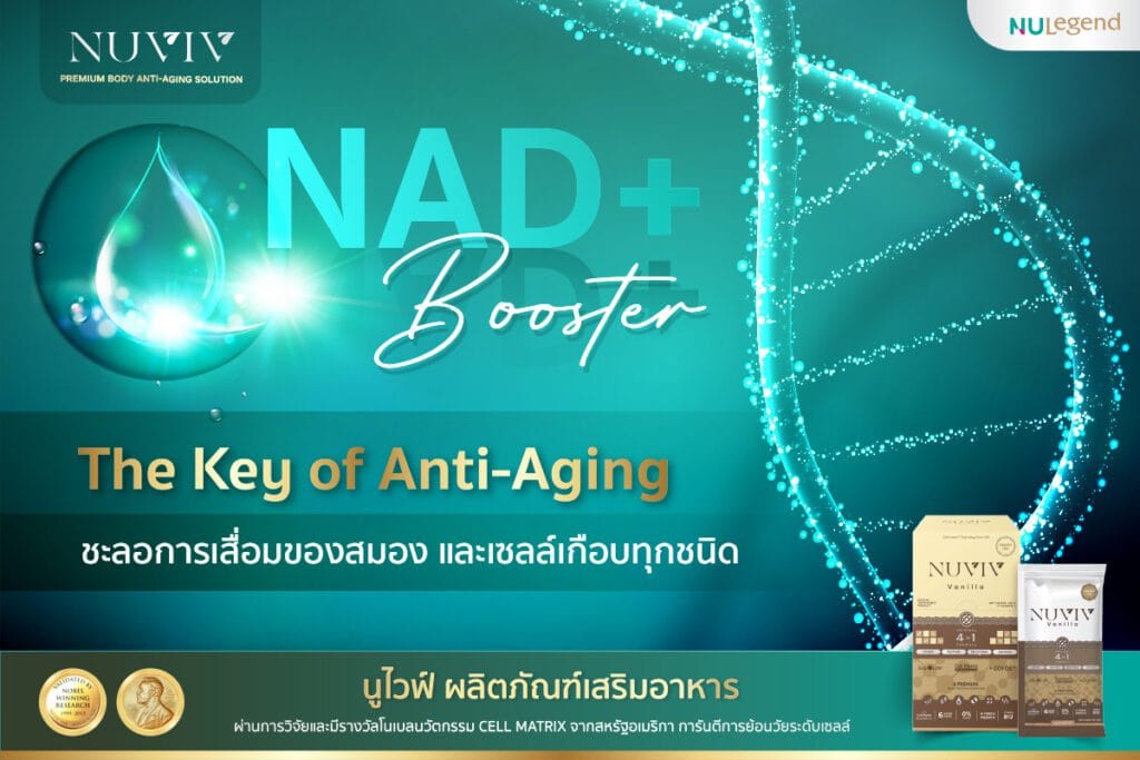 Nu'Legend | บริษัท นู ลีเจ้นด์ จำกัด